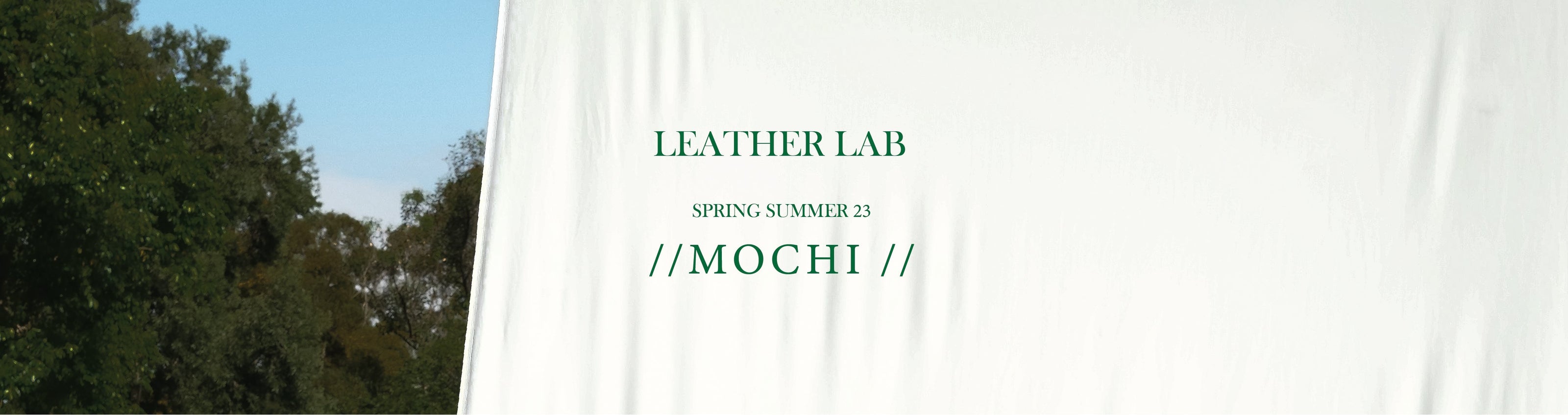 The Mochi Collection